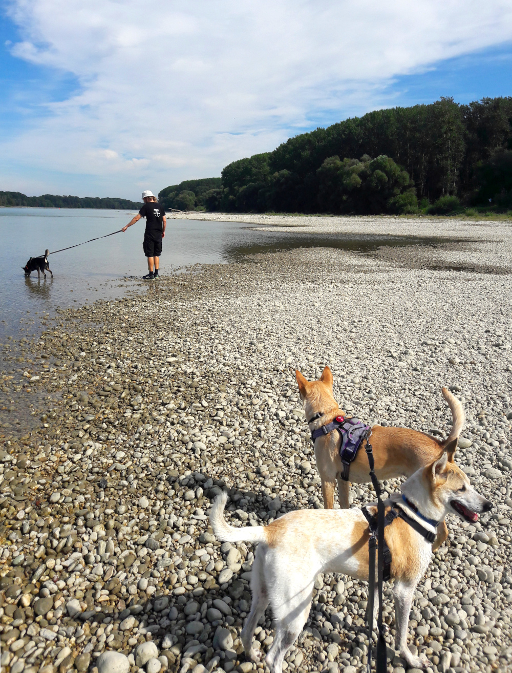 Tonavan kansallispuisto Wienistä itään